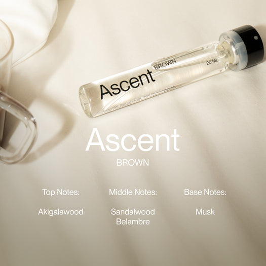 Ascent Brown Starter Pack – Warm Musky Parfum + Refillable Case